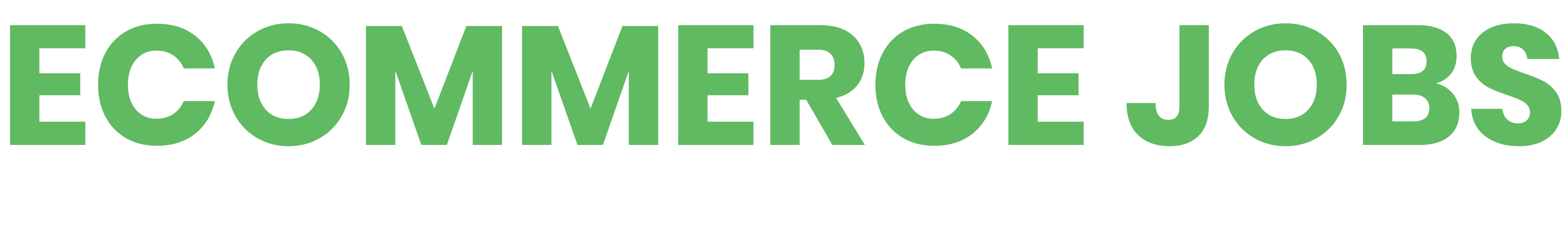 VP Ecommerce Jobs | Vice President Ecommerce Jobs